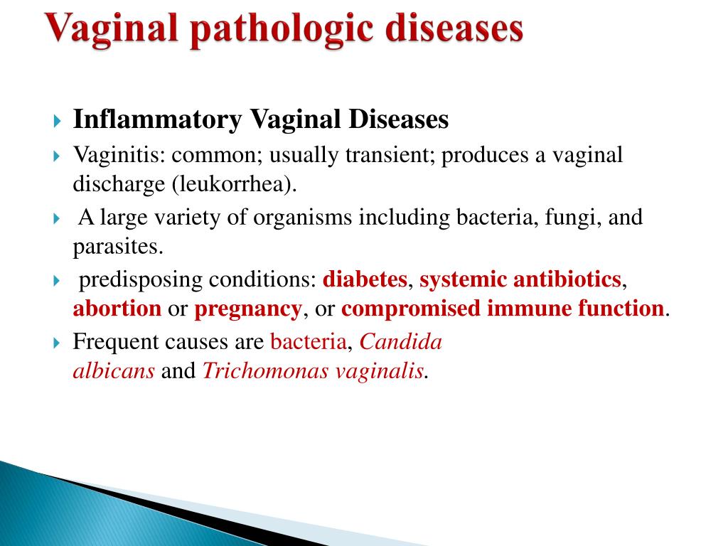 PPT - Pathology of the lower female genital tract PowerPoint ...