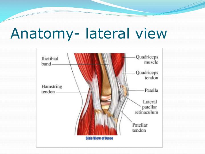 PPT - Derbyshire Sports Injuries Clinic presents PowerPoint ...