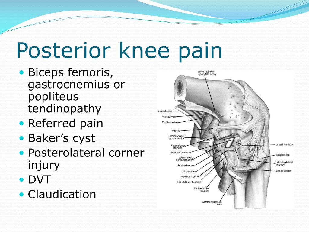PPT - Derbyshire Sports Injuries Clinic presents PowerPoint ...