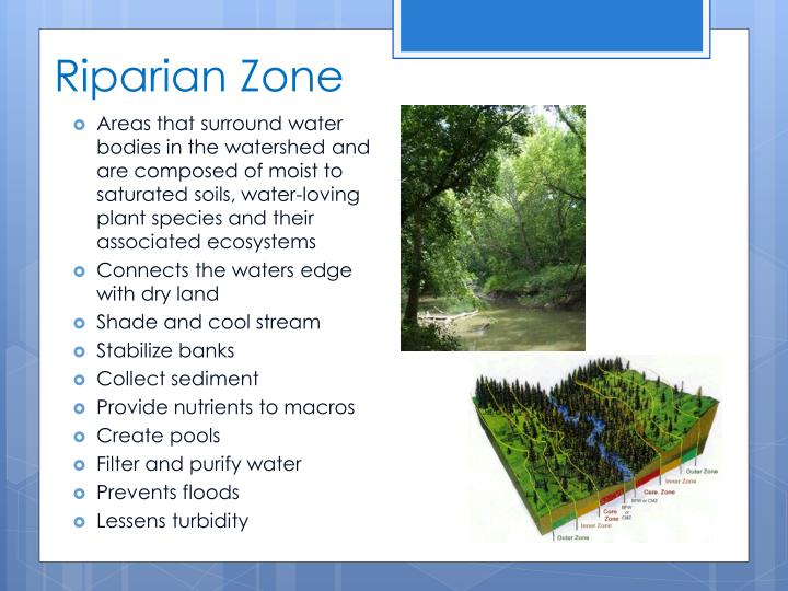 PPT - Blackwater Creek Watershed Assessment PowerPoint Presentation ...