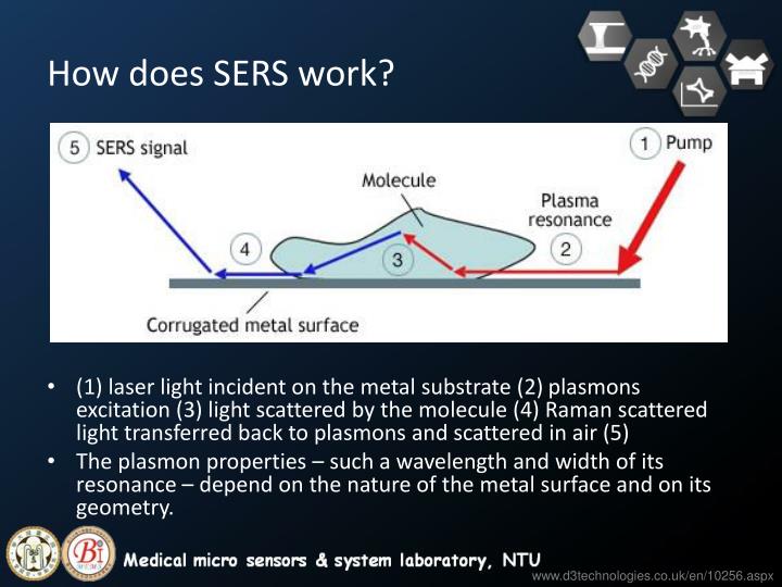 PPT - Applications of Surface-Enhanced Raman Scattering (SERS ...