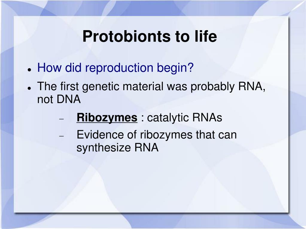 PPT - Origins of Life LACSSP presentation PowerPoint Presentation, free ...