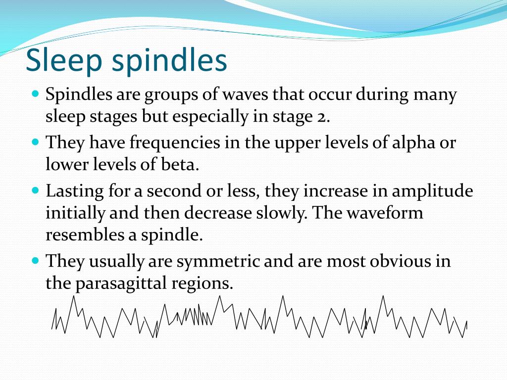 Ppt Physiology Of Sleep And Eeg Powerpoint Presentation Free