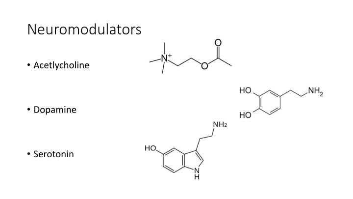 PPT - Modulatory Neurotransmitters PowerPoint Presentation - ID:2287409