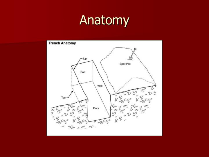 PPT - Trench Awareness Training PowerPoint Presentation - ID:2287537