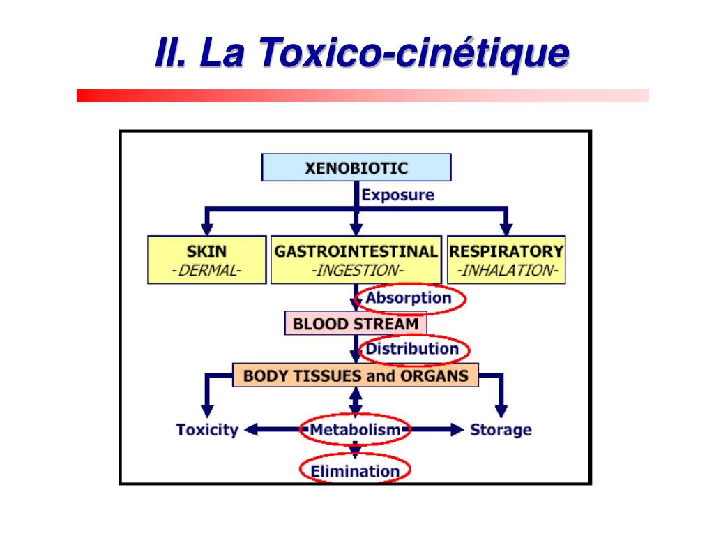 PPT - Toxicologie Cellulaire &Moléculaire PowerPoint Presentation - ID ...