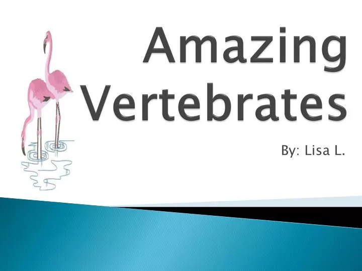 PPT - Amazing Vertebrates PowerPoint Presentation, free download - ID ...