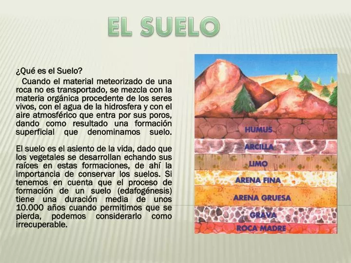 PPT - EL SUELO PowerPoint Presentation, free download - ID:2288334