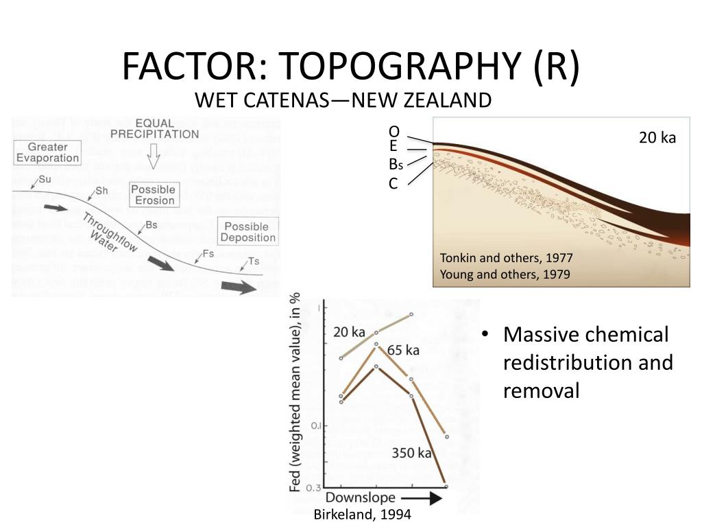 PPT - SOIL GEOMORPHOLOGY (coined by Ruhe , 1974) PowerPoint ...