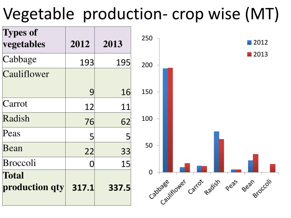 PPT - Highlights on vegetable production and marketing PowerPoint ...