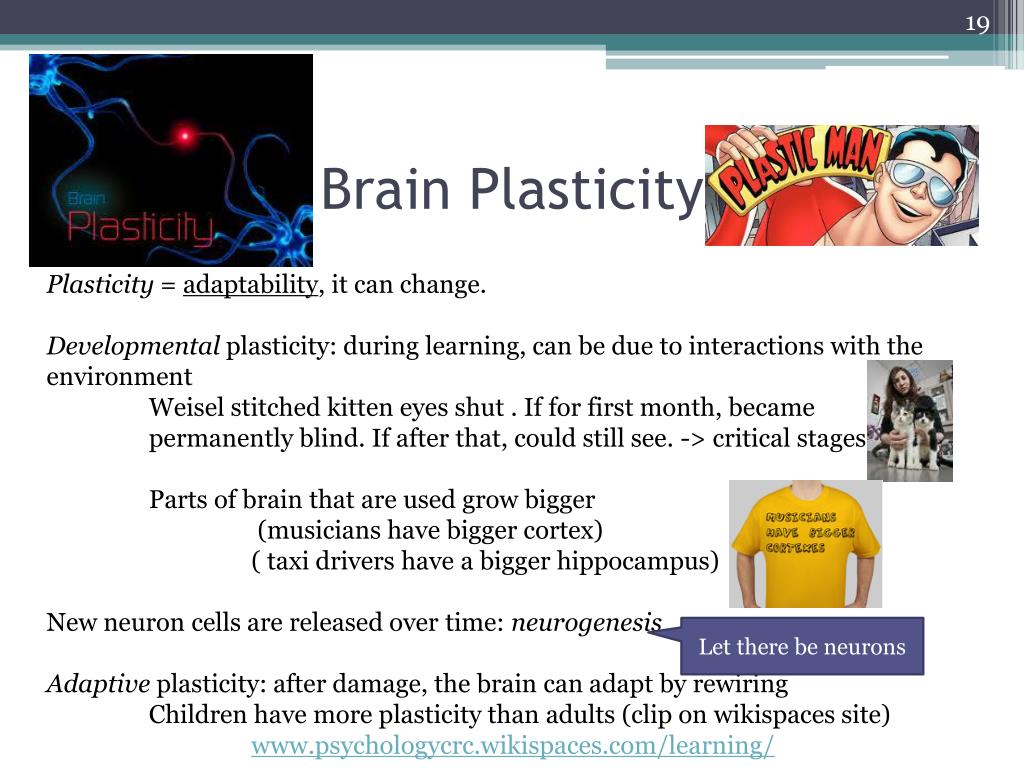 PPT - Learning PowerPoint Presentation, free download - ID:2288687