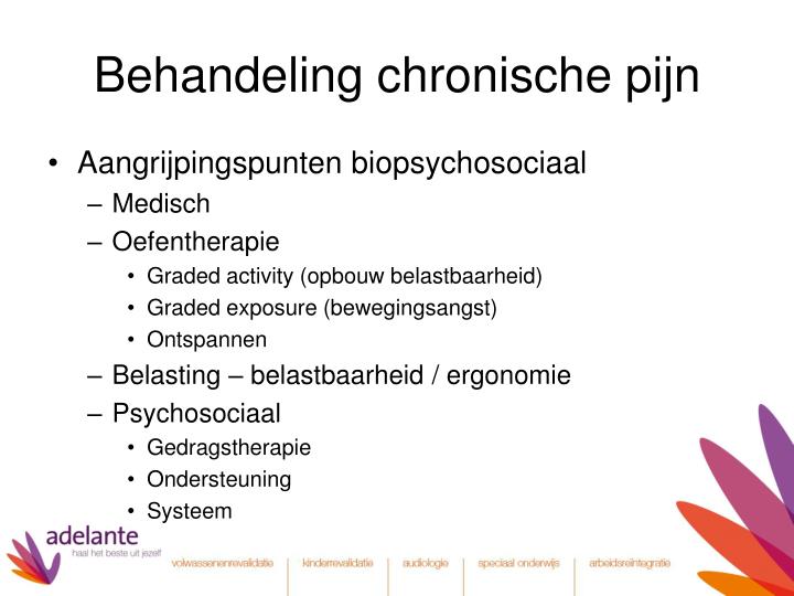 PPT - Pijn Begrijpen PowerPoint Presentation - ID:2289050