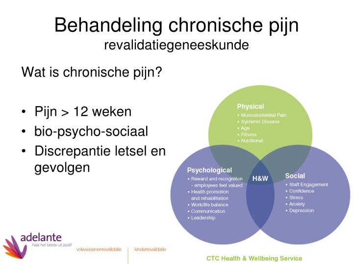 PPT - Pijn Begrijpen PowerPoint Presentation - ID:2289050