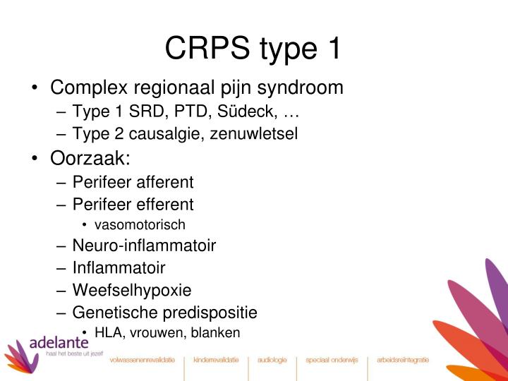 PPT - Pijn Begrijpen PowerPoint Presentation - ID:2289050