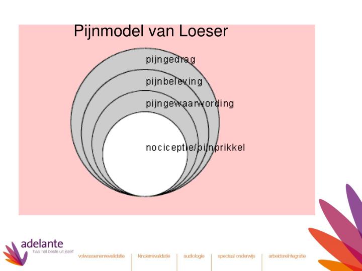 PPT - Pijn Begrijpen PowerPoint Presentation - ID:2289050