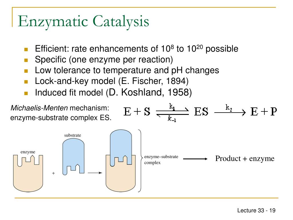 PPT - Understanding Kinetics and Catalysis in Chemical Reactions ...