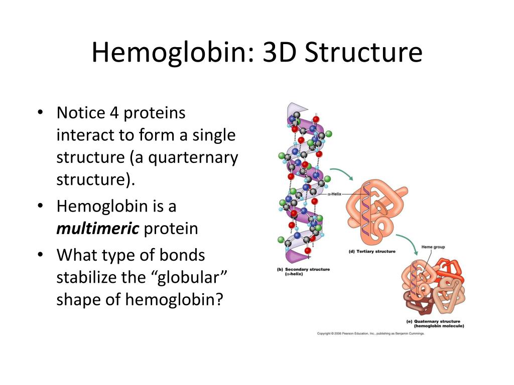 PPT - CELL CHEMISTRY IV Proteins & Nucleic Acids PowerPoint ...