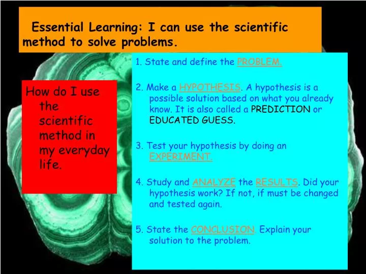 PPT - Essential Learning: I can use the scientific method to solve ...
