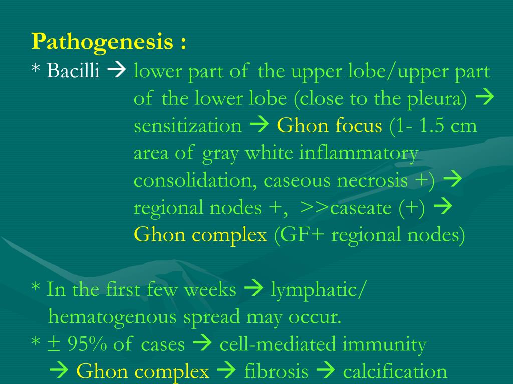 PPT - RESPIRATORY SYSTEM Department of Anatomic Pathology Faculty of ...