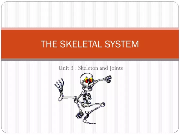 PPT - THE SKELETAL SYSTEM PowerPoint Presentation, free download - ID ...