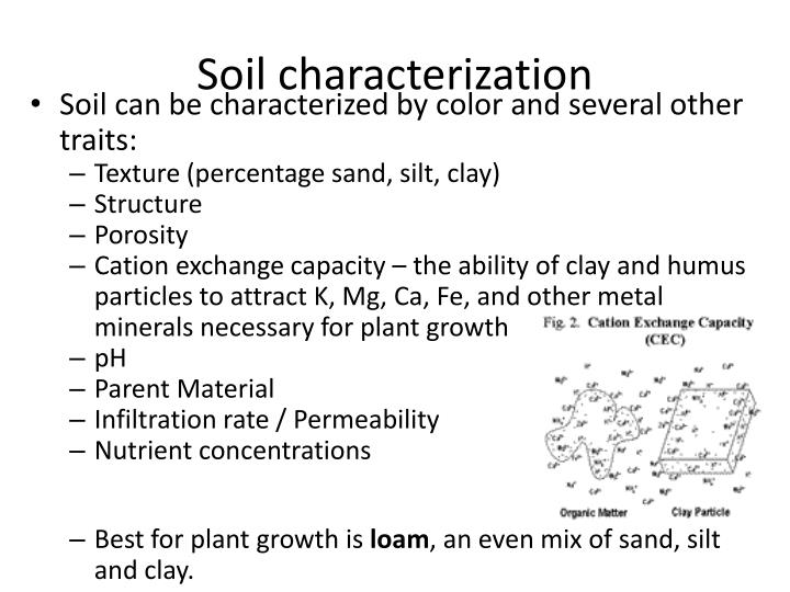 PPT - Soil Degradation and Conservation PowerPoint Presentation - ID ...
