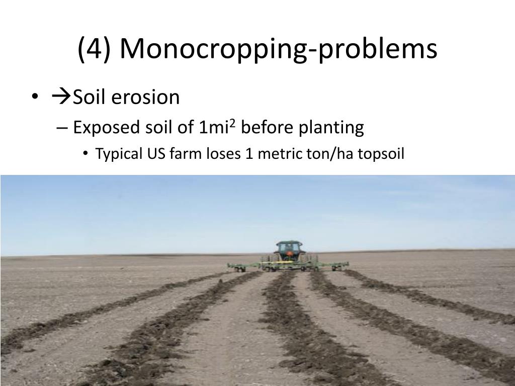 PPT - The Green R evolution and Industrial Agriculture PowerPoint ...
