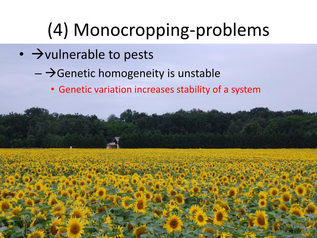 PPT - The Green R evolution and Industrial Agriculture PowerPoint ...