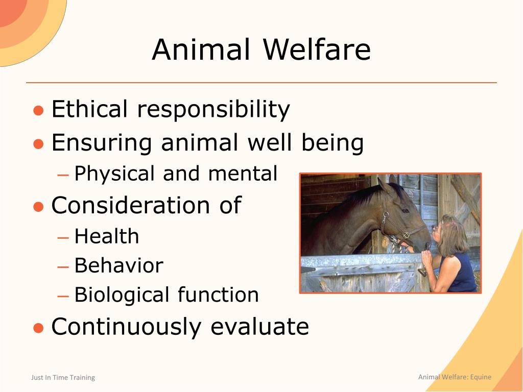 PPT - Animal Welfare During Animal Health Emergencies PowerPoint ...