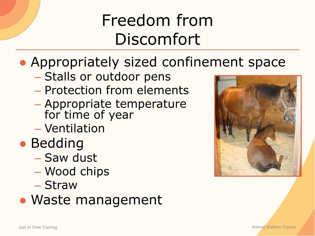 PPT - Animal Welfare During Animal Health Emergencies PowerPoint ...
