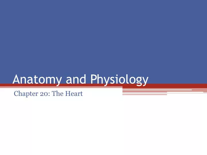 PPT - Anatomy and Physiology PowerPoint Presentation, free download ...