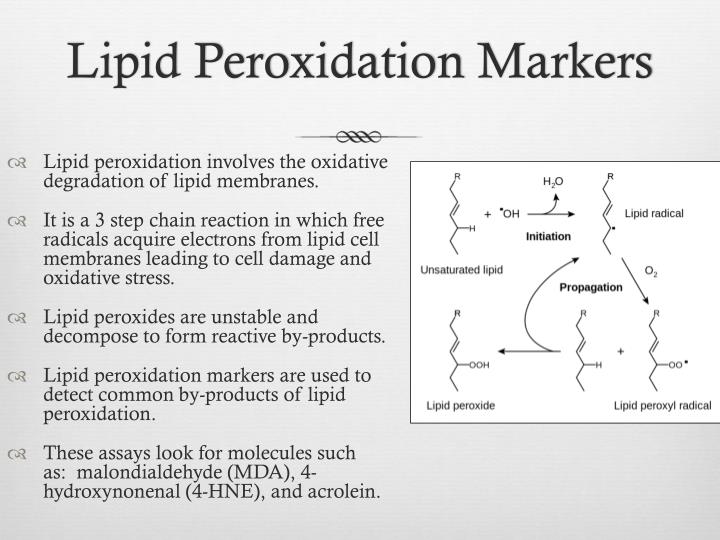 PPT - Oxidative Stress Markers PowerPoint Presentation - ID:2292903