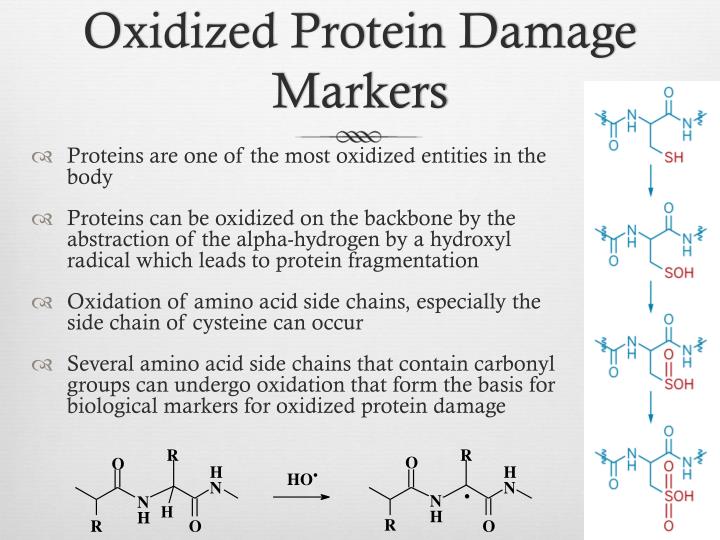 PPT - Oxidative Stress Markers PowerPoint Presentation - ID:2292903
