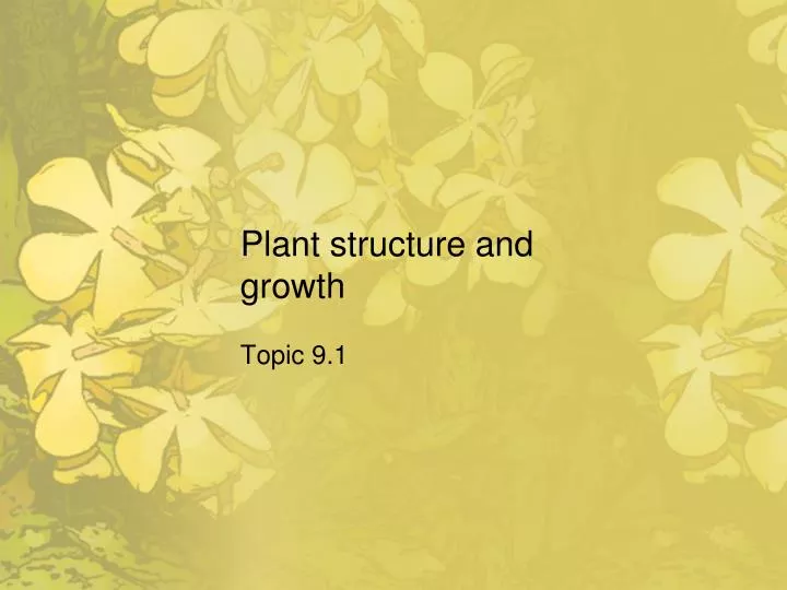 PPT - Plant structure and growth PowerPoint Presentation, free download ...