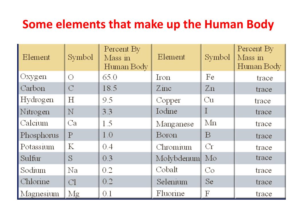 PPT - 4 Major Molecules of Living Things PowerPoint Presentation, free ...