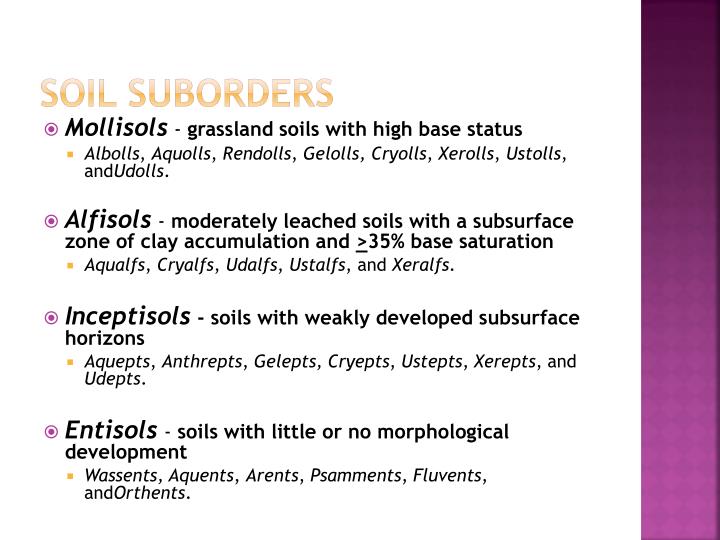 PPT - SOIL SUBORDERS PowerPoint Presentation - ID:2293311