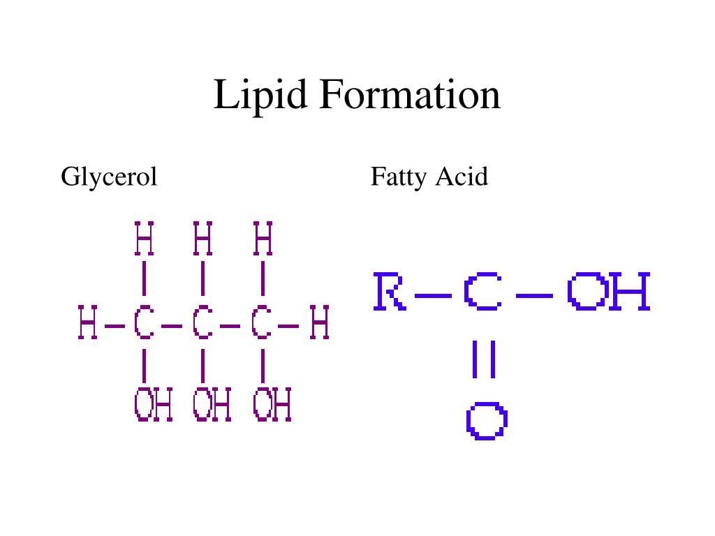PPT - Food Biotechnology Dr. Kamal E. M. Elkahlout Food Biochemistry 2 ...