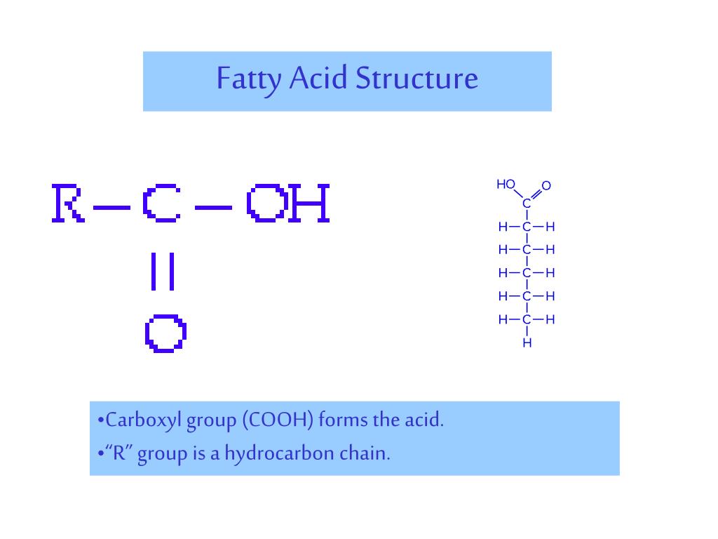 PPT - Food Biotechnology Dr. Kamal E. M. Elkahlout Food Biochemistry 2 ...