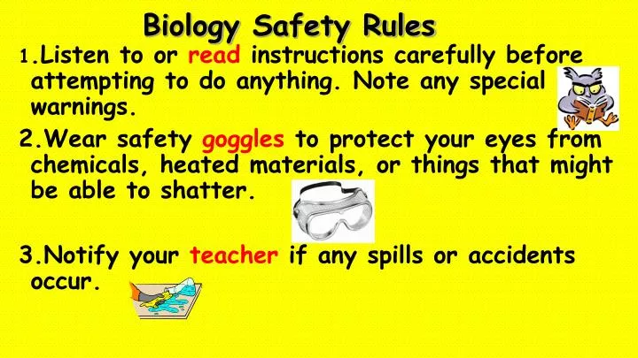 PPT - Biology Safety Rules PowerPoint Presentation, free download - ID ...