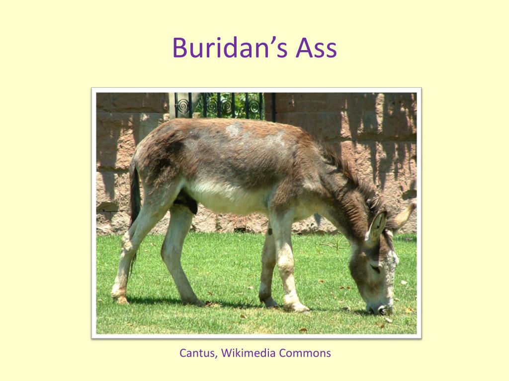 PPT - Why John Buridan (c. 1300 – after 1358) should be remembered for ...