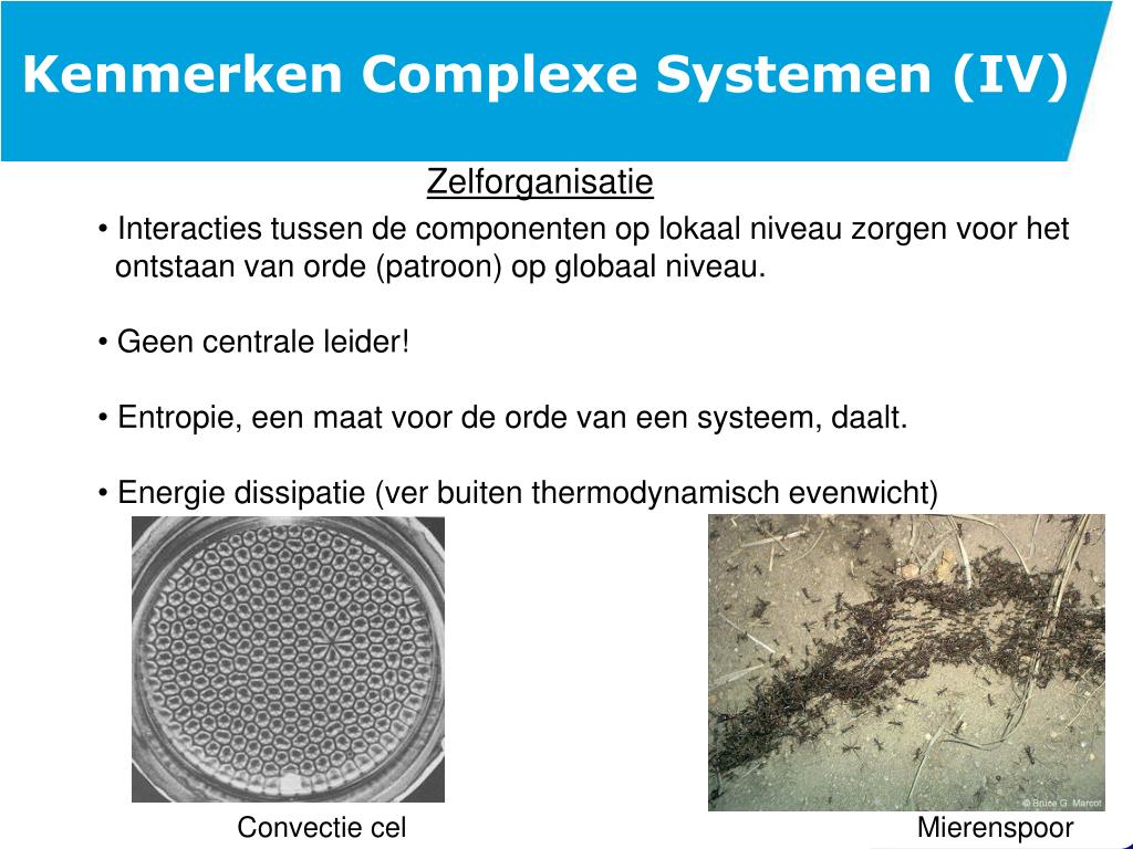 PPT - Tom de Greef Het Tijdperk van Complexiteit College 1 PowerPoint ...