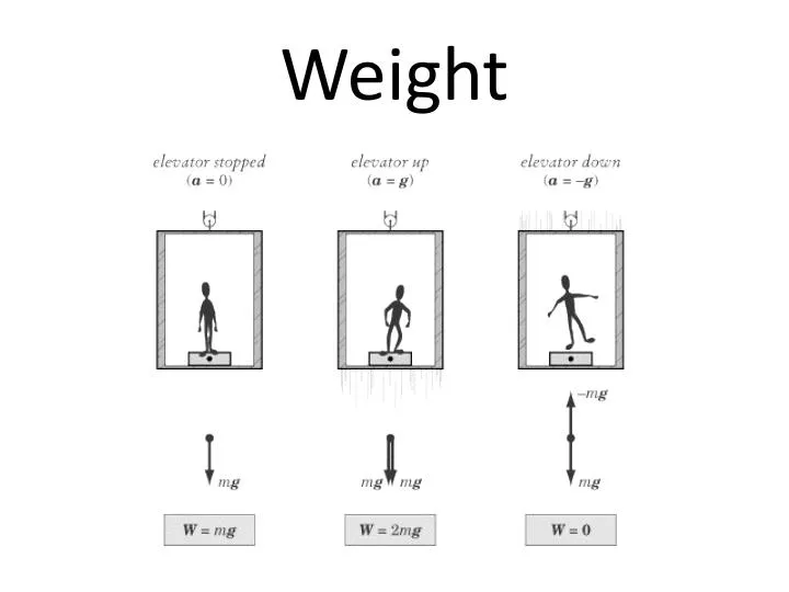 PPT - Weight PowerPoint Presentation, free download - ID:2295675