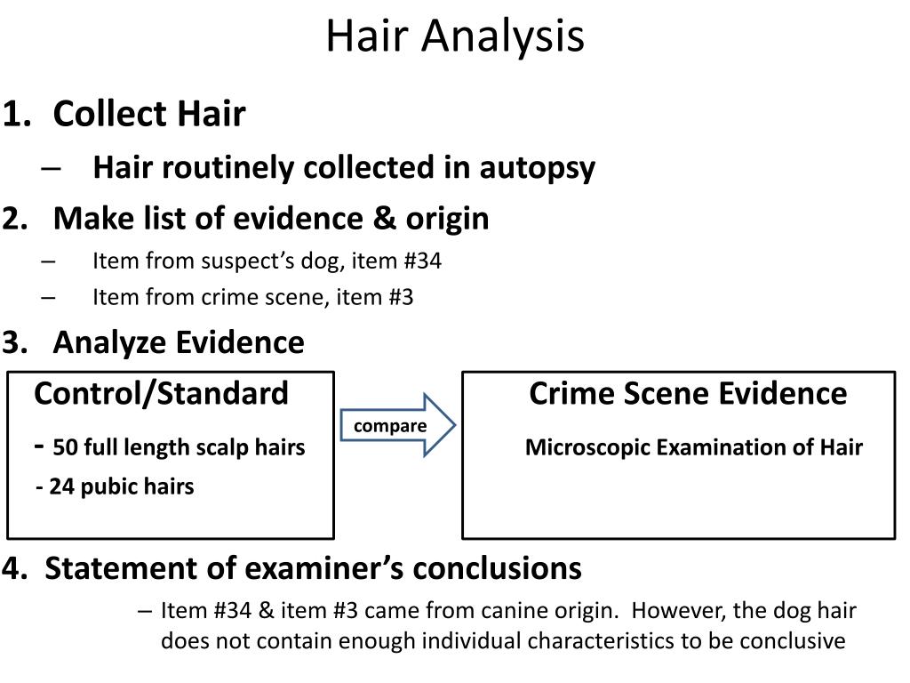 PPT - Physical Evidence Hair, Fiber, Documents, & Geology PowerPoint ...