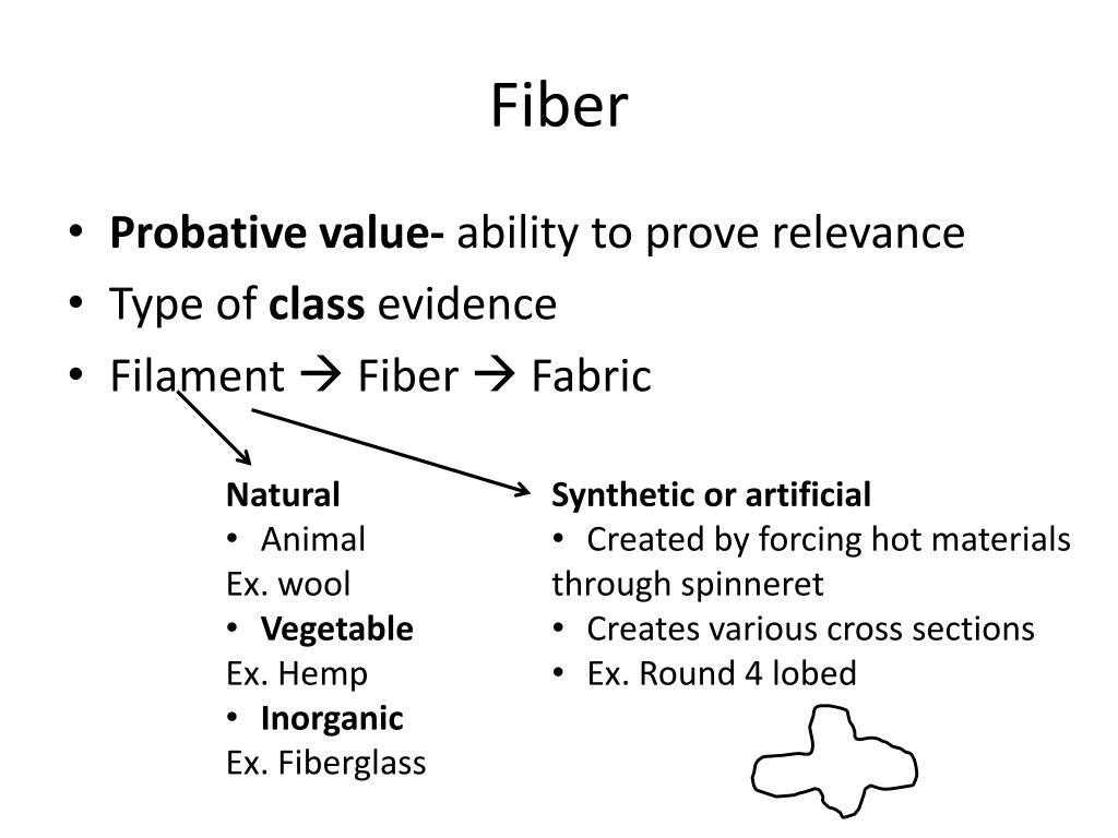 PPT - Physical Evidence Hair, Fiber, Documents, & Geology PowerPoint ...