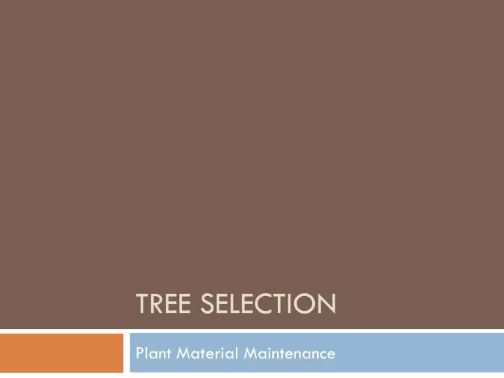 PPT - Tree Selection PowerPoint Presentation, free download - ID:2295777