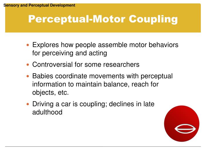 PPT - Motor, Sensory, and Perceptual Development PowerPoint ...