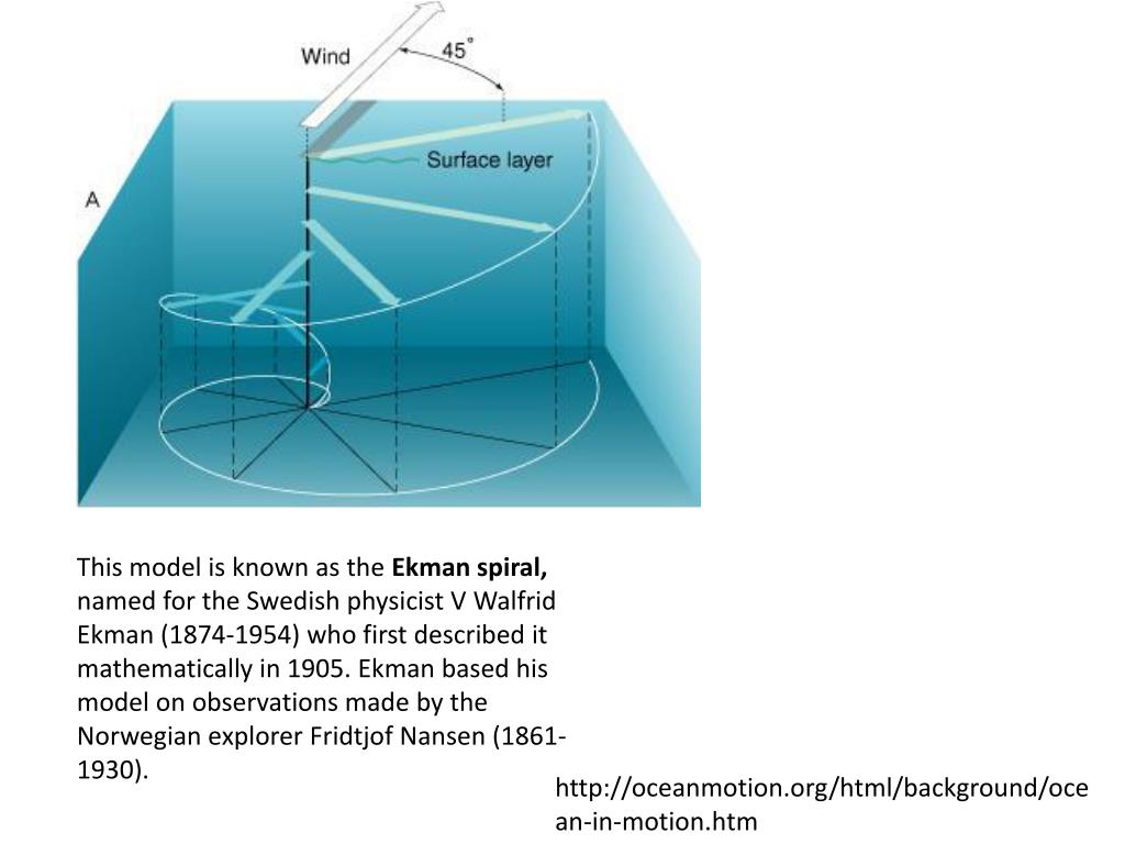 PPT - Water Chemistry Ocean Currents Wind Gyres Upwelling/ Downwelling ...