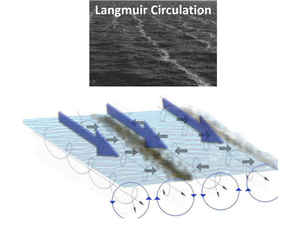PPT - Water Chemistry Ocean Currents Wind Gyres Upwelling/ Downwelling ...