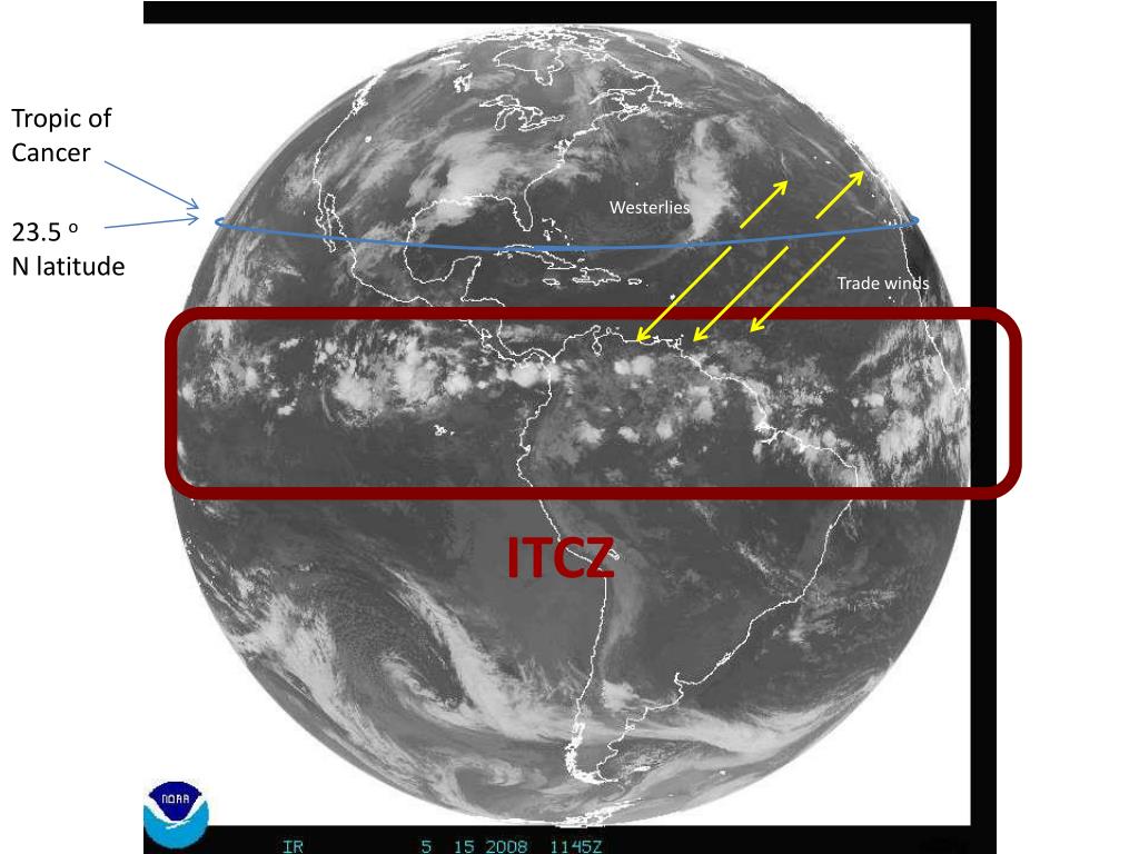 PPT - Water Chemistry Ocean Currents Wind Gyres Upwelling/ Downwelling ...