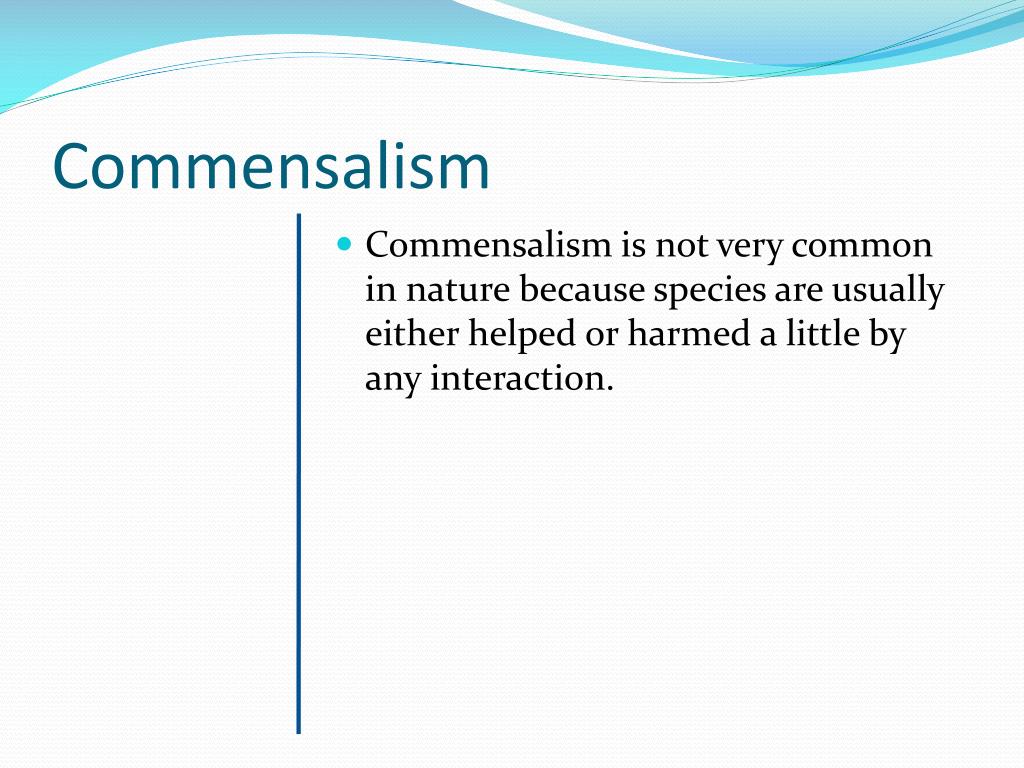 PPT - Competition, Predation and Symbiosis PowerPoint Presentation ...