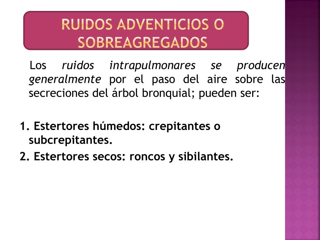 PPT - MODIFICACIONES PATOLÓGICAS DE LOS RUIDOS RESPIRATORIOS PowerPoint ...